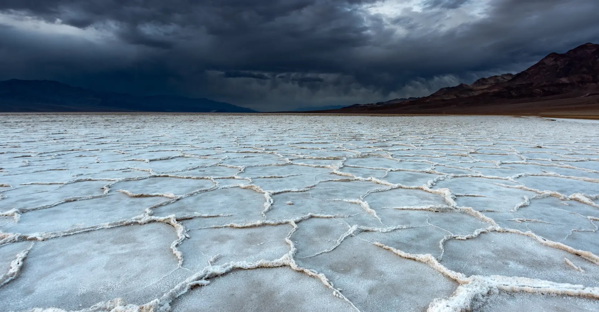 Understanding the SARS Appeal Procedure with Caveat Legal