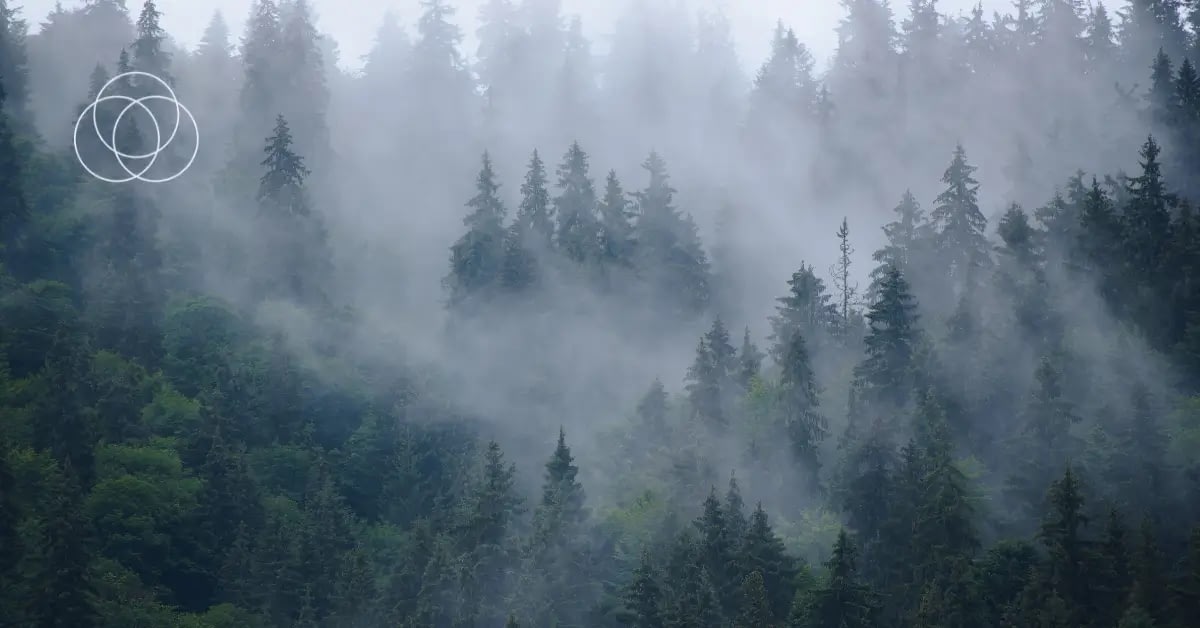 Taking your PPA from Monopoly to Market - Caveat Legal